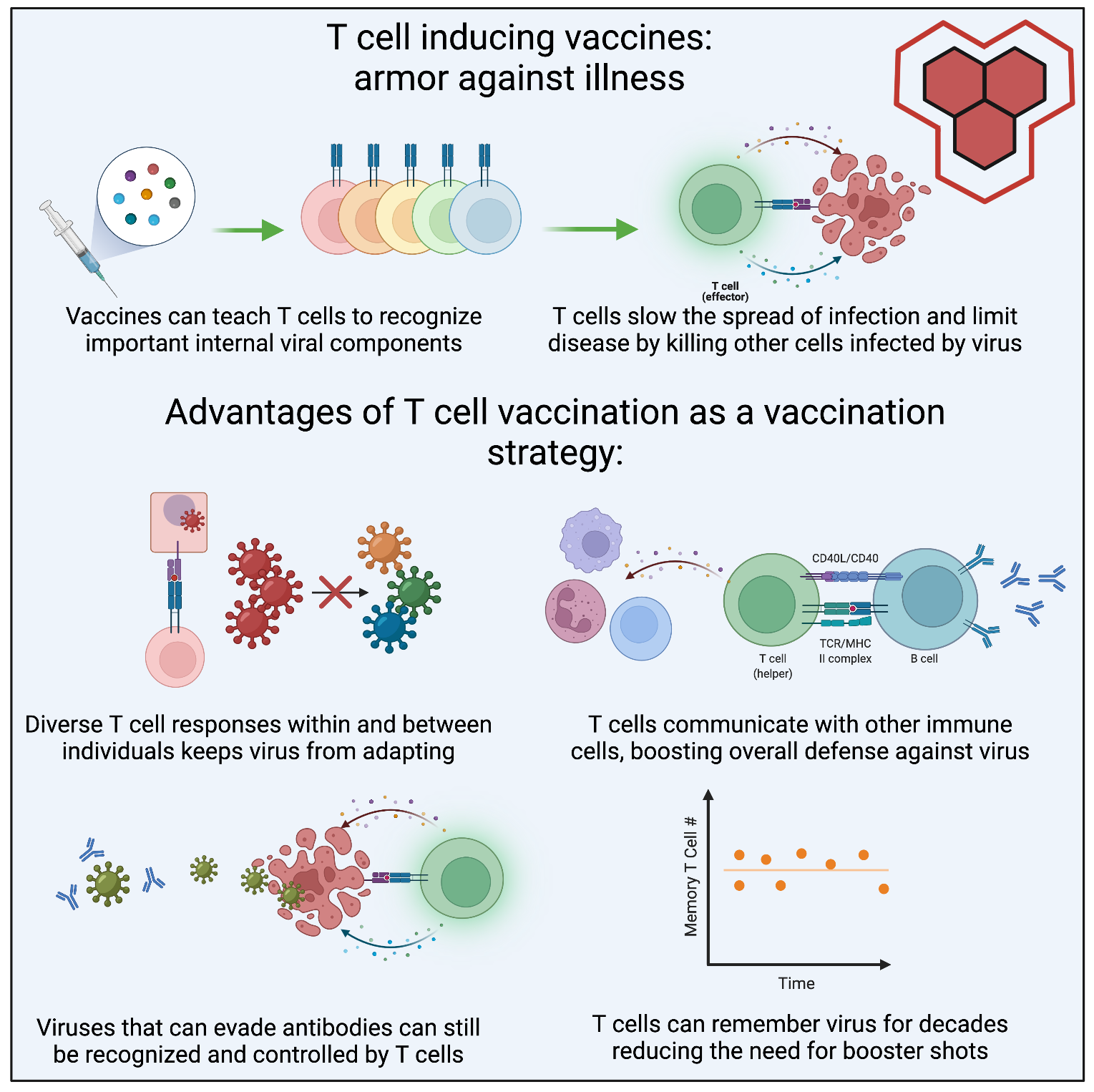 Science and Technology - ImmunoRoza